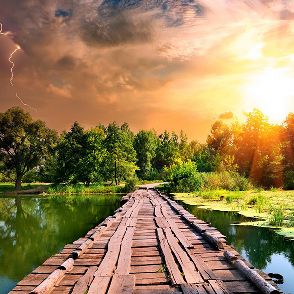 Jednodelne slike – Moja slika