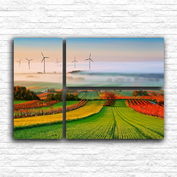 Šarena polja – Moja slika